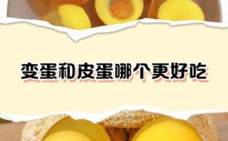 变蛋怎么做才好吃_变蛋和皮蛋区别