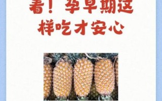 怀孕可以吃菠萝吗_孕妇吃菠萝注意事项
