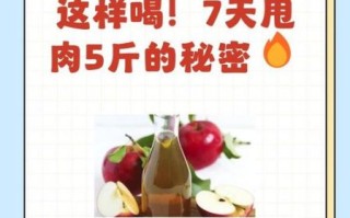 苹果醋什么时候喝最易减肥_饭前还是饭后