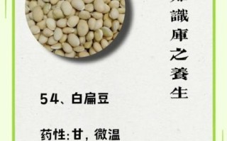 白扁豆粥禁忌人群_哪些人不能吃白扁豆粥