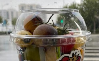 正宗披萨酱怎么做_披萨酱用什么番茄最好