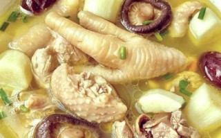 炖鸡汤的做法_炖鸡汤怎么炖才香