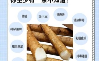 鲜牛蒡怎么吃最有营养_鲜牛蒡最佳吃法