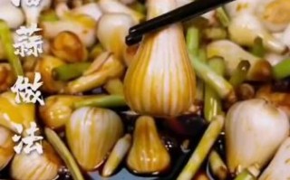 青蒜怎么腌制好吃_家常青蒜腌制方法 青蒜怎么腌制好吃_家常青蒜腌制方法