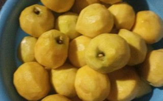 自制黄桃罐头怎么做_保存多久不会坏