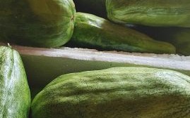 菜瓜的功效与作用_菜瓜怎么吃最健康