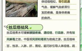 丝瓜络的功效与作用_丝瓜络能治哪些病