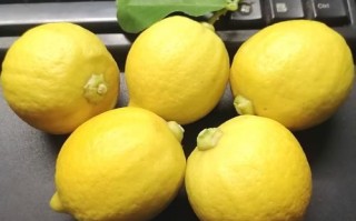 香水柠檬好还是黄柠檬好_哪个更适合做饮品