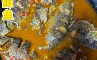干烧鱼怎么做_干烧鱼用什么鱼最好
