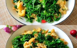 荠菜炒鸡蛋的营养价值_荠菜炒鸡蛋的功效与作用