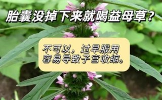 益母草喝了两天流产了_益母草流产风险