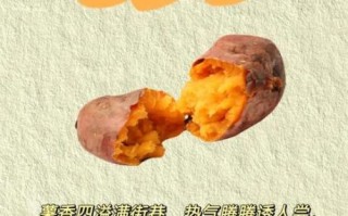 烤红薯的热量是多少_减肥能吃烤红薯吗