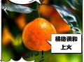 橙子是上火还是降火_吃橙子会上火吗