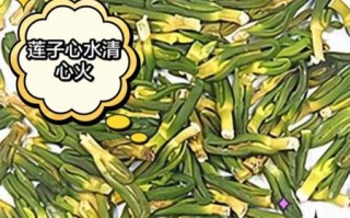 莲子心禁忌人群_哪些人不能吃莲子心