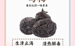 大乌梅的功效与作用_大乌梅怎么吃最好