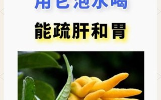 佛手花功效与作用_佛手花怎么泡水喝
