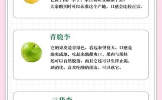 加应子是什么水果_加应子和李子区别