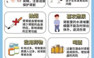 中医补肾壮阳的最佳方法_如何科学调理肾虚