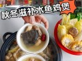 水鱼鸡煲怎么做好吃_水鱼鸡煲的做法大全