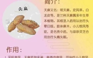 天麻可以泡水喝吗_天麻泡水喝的正确方法