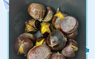 电饭煲煮栗子要多久_电饭煲煮栗子怎么煮