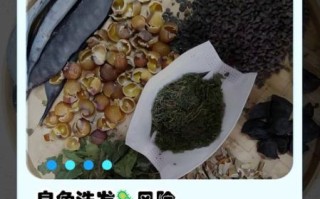 皂角洗头有什么危害_皂角洗头会导致脱发吗