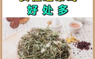 蒲公英泡水有什么好处_长期喝会不会伤胃