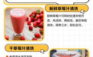 机榨草莓汁怎么做_机榨草莓汁要不要加水