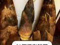 鲜竹笋怎么保存_鲜竹笋可以冷冻吗