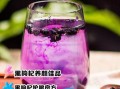 黑果枸杞泡水有什么功效_黑果枸杞泡水正确方法