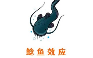 鲶鱼效应失败案例_鲶鱼的下场如何