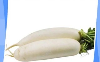 大萝卜怎么保存不糠心_大萝卜适合什么人吃