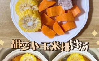 胡萝卜玉米排骨汤怎么做_排骨汤怎么炖才香