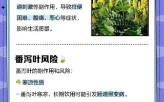 喝番泻叶40年_长期喝番泻叶的危害