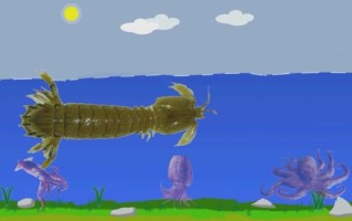 虾爬子是什么意思_虾爬子是哪里的方言