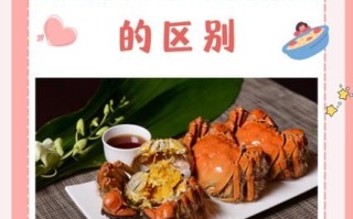 蟹黄是什么样的_蟹黄和蟹膏的区别