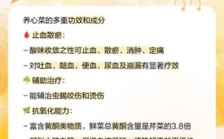 养心菜功效骗局_养心菜真的能降血压吗