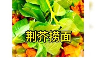 炒荆芥和荆芥的区别_炒荆芥的功效与作用