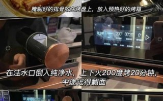 蒜香烤排骨怎么做_烤箱温度时间设置