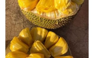 菠萝蜜官方国际通道入口在哪里_如何安全访问