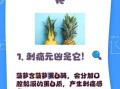 菠萝会上火吗_吃菠萝口腔溃疡怎么办