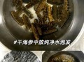 怎样水发干海参_干海参泡发多久才够大