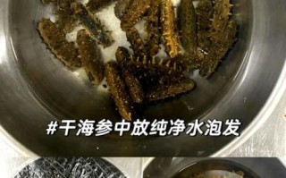 怎样水发干海参_干海参泡发多久才够大