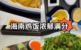 海南鸡饭的正确吃法_如何吃出正宗风味