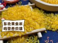 黄金大米危害有哪些_转基因食品安全吗
