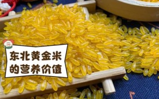 黄金大米危害有哪些_转基因食品安全吗