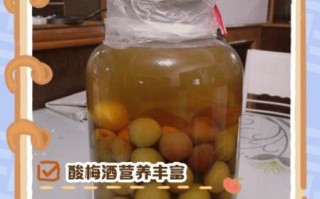 酸梅酒的功效与作用_酸梅酒适合什么人喝