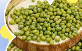 脱皮绿豆和绿豆的区别_哪个更适合做绿豆沙