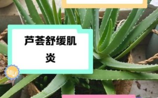 芦荟可以直接涂在脸上吗_需要洗吗