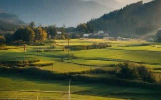 宫保鸡丁怎么做_宫保鸡丁需要哪些材料